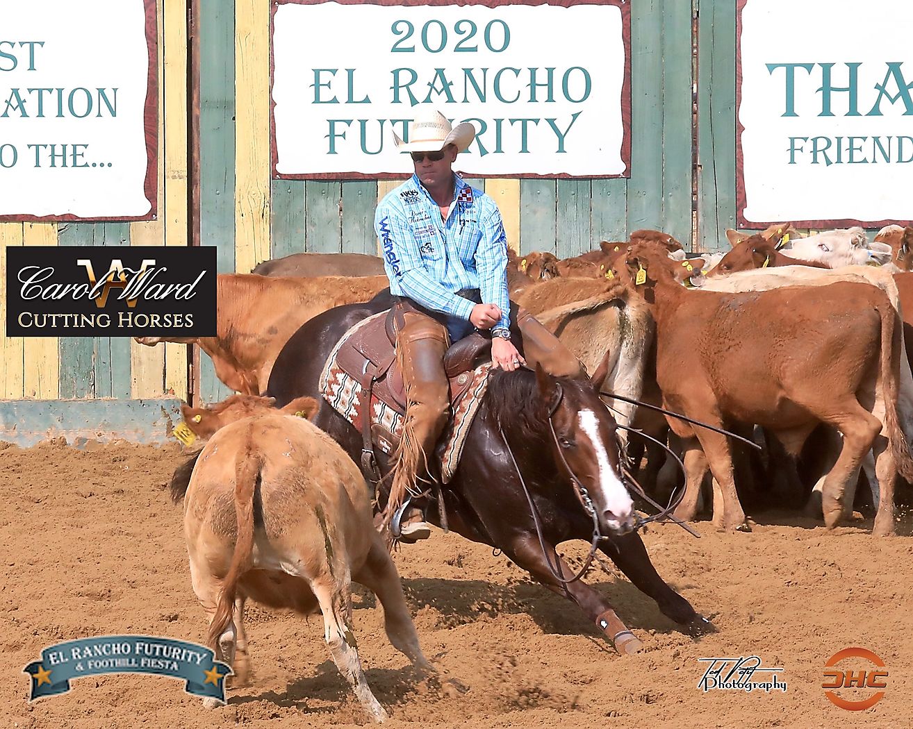 Matt Gaines : Performance Horse Central