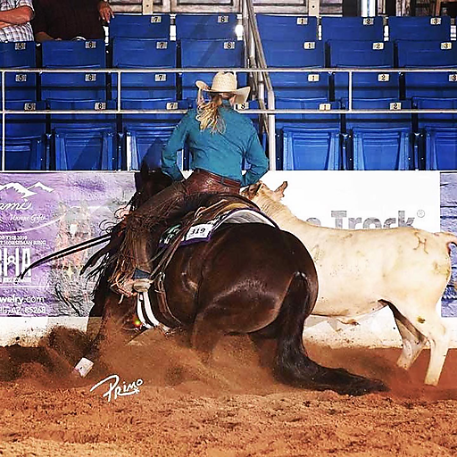 Chris & Sarah Dawson : Performance Horse Central