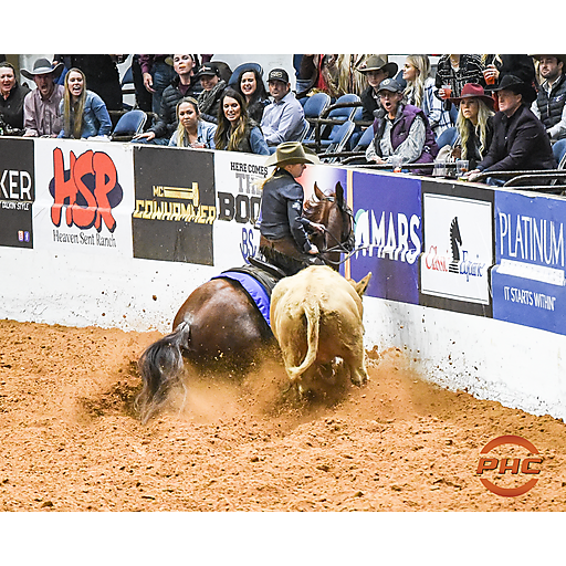 Chris & Sarah Dawson : Performance Horse Central