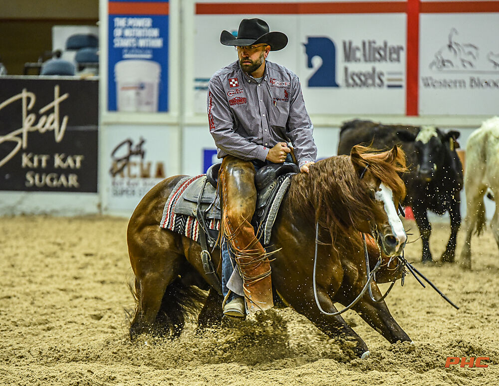 Countin Hot Checks : Performance Horse Central