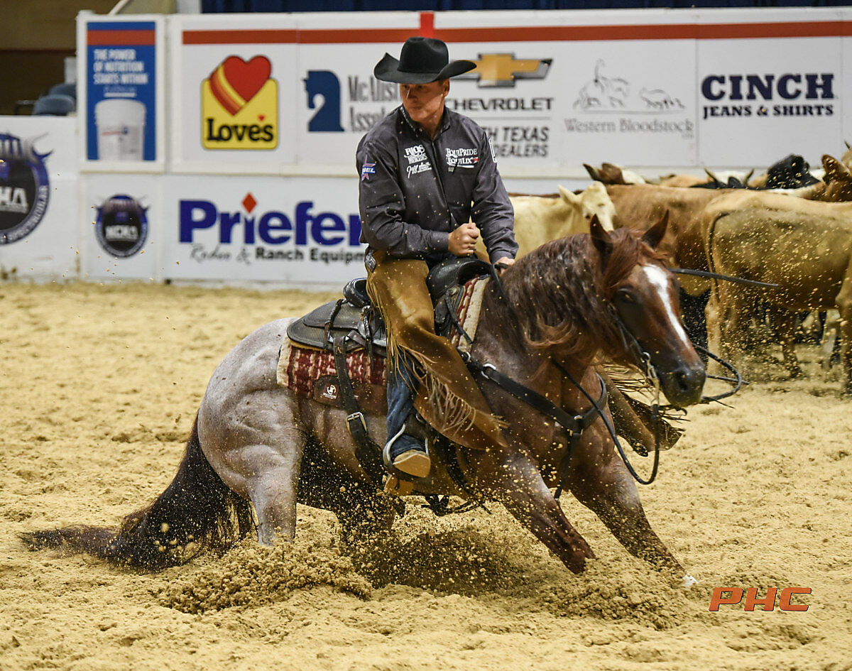 Beau Galyean : Performance Horse Central