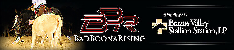 Performance Horse Central