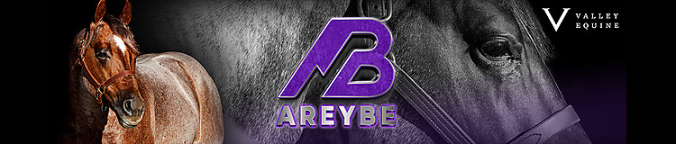 Third Edge : Performance Horse Central