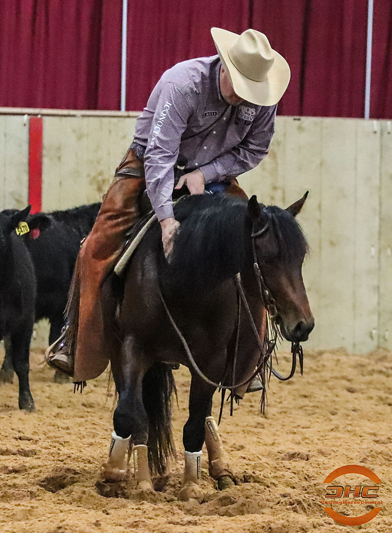 Austin Shepard : Performance Horse Central