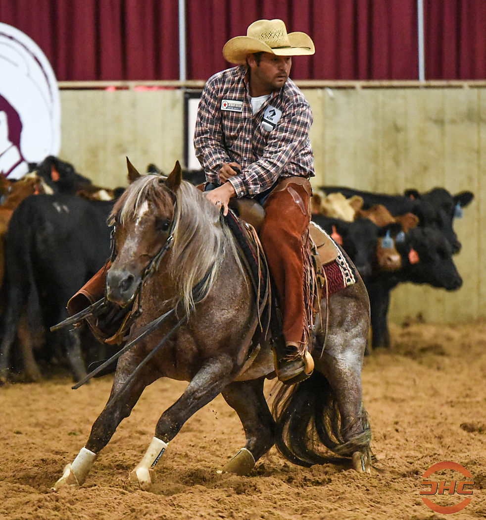 Tyler Lewis : Performance Horse Central